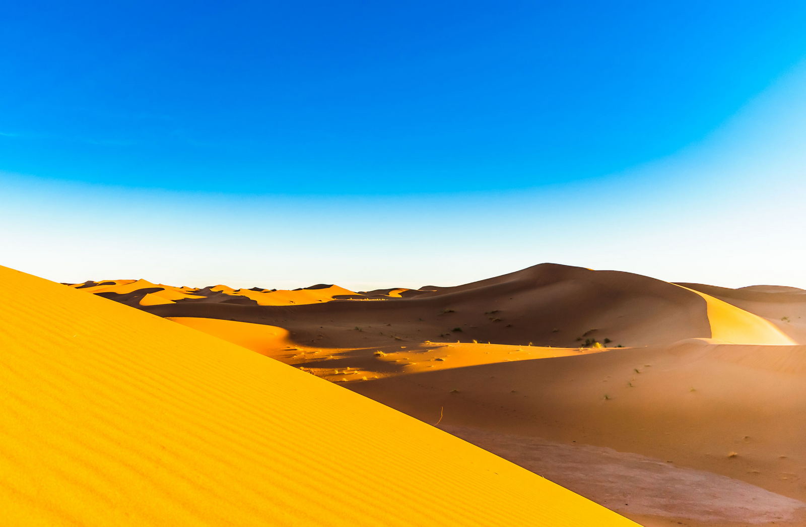 Zagora atrakcje w mieście i okolicy - Maroko.Com • Biuro Podróży • Co ...